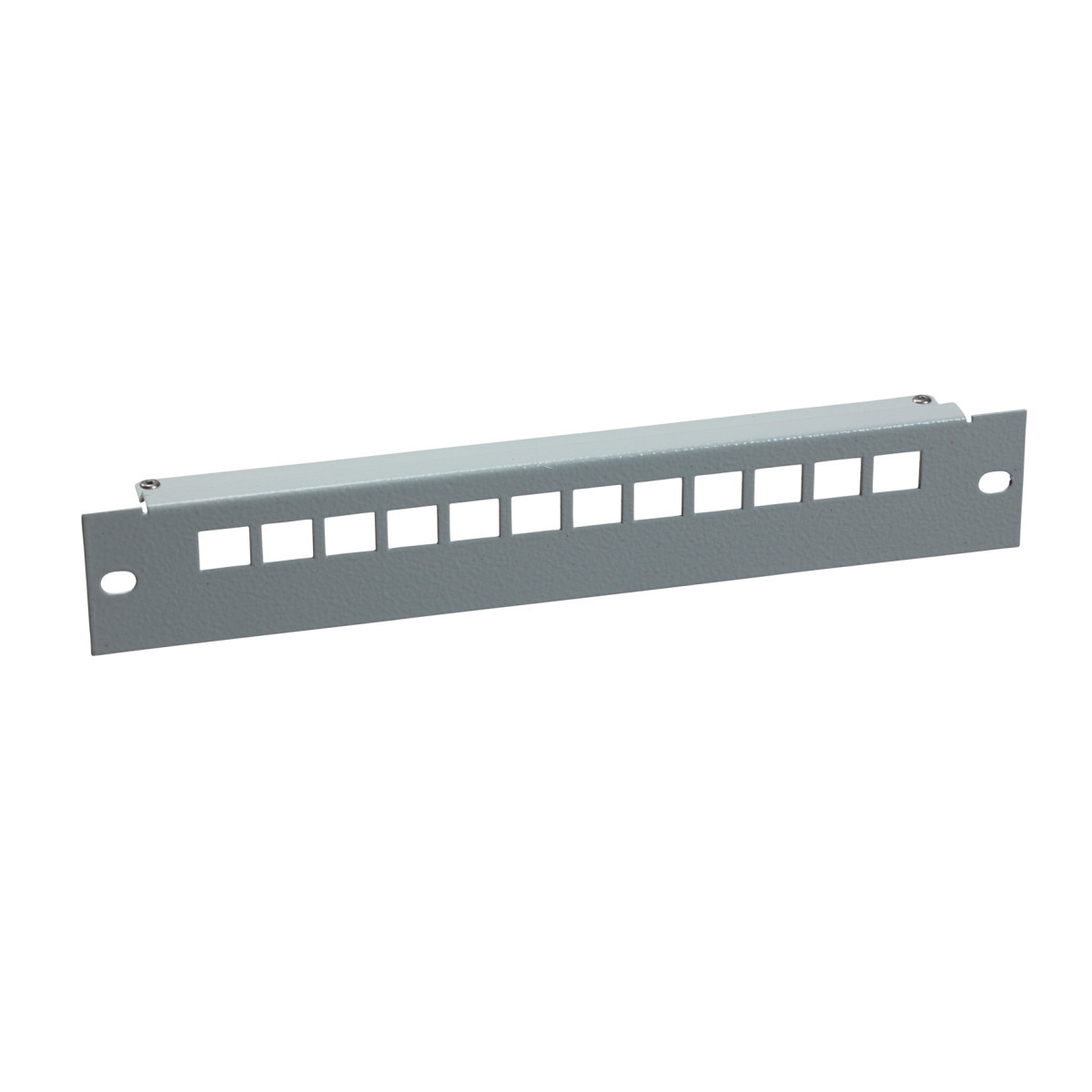 Schneider Electric Actassi 10" paneel 1he 12 posities RJ45 slim ...